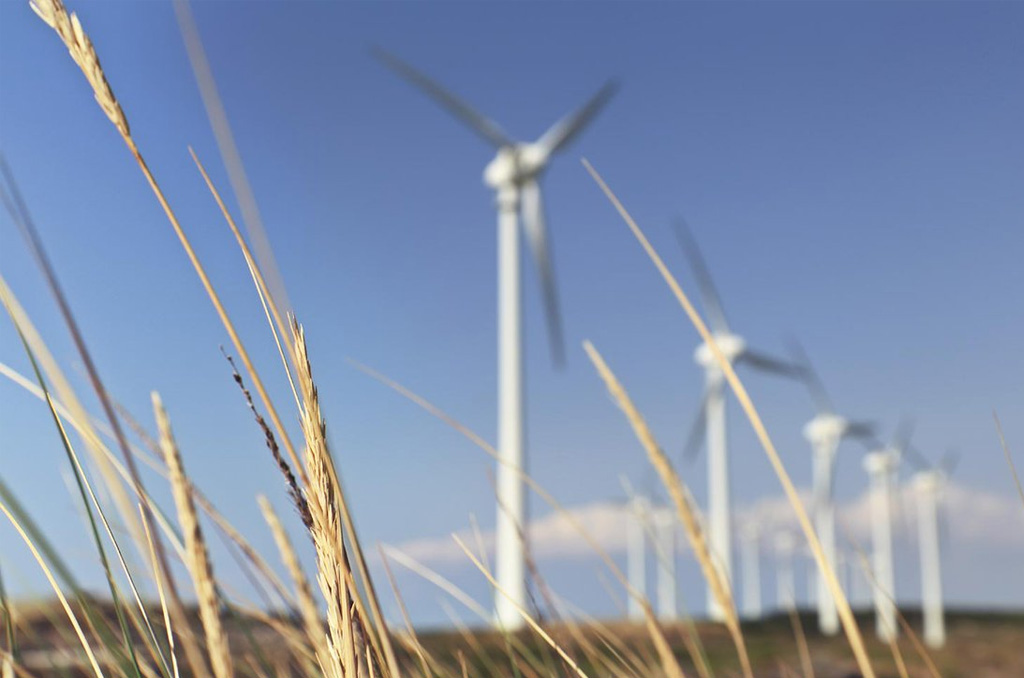 Low Carbon Technologies for Resource Efficient Houses - CoRE Skills